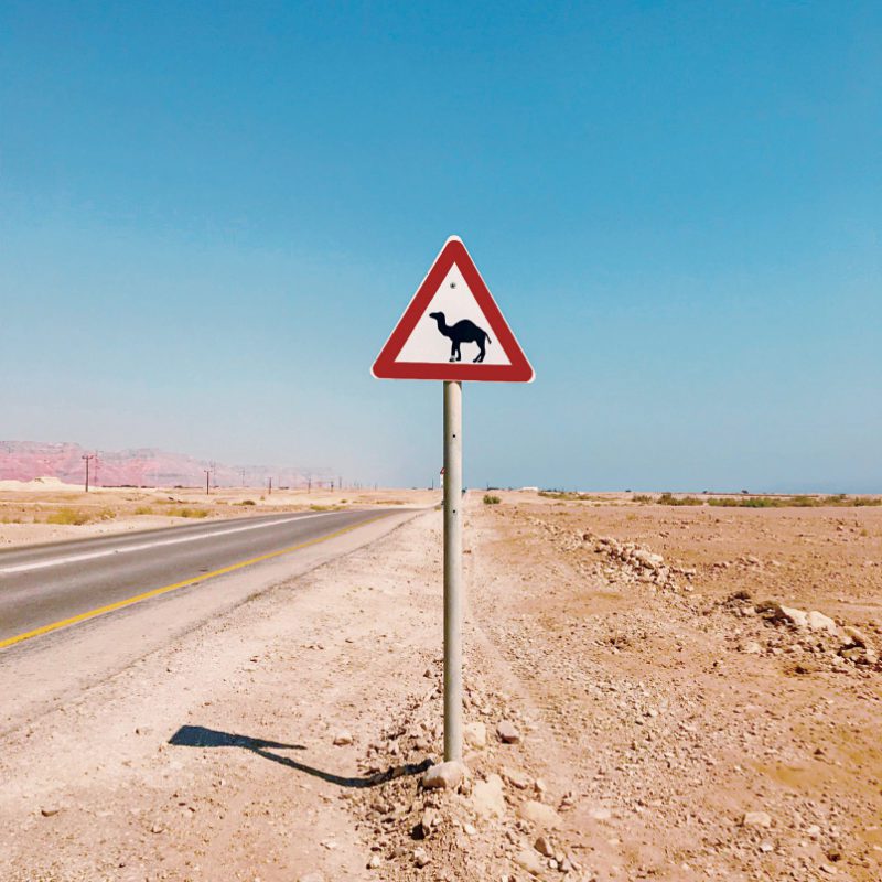 Signs | Accidentally Wes Anderson